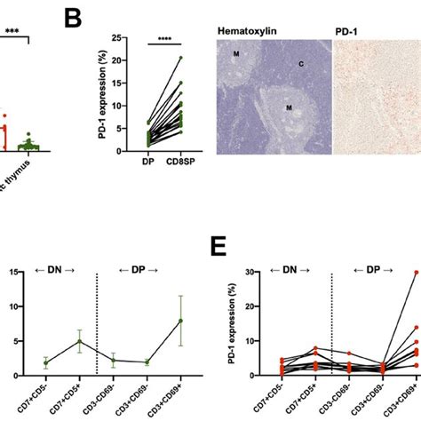 Three Dimensional Hydrogel Tumor Model Characterization A