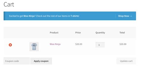 Woocommerce Cart Notices Documentation Woocommerce