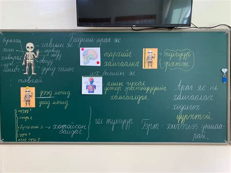 Хүн ба байгаль “Бидний араг яс” Орших багшorshih Bagsh Facebook