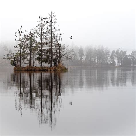 Shui Mo Dl Fotografi