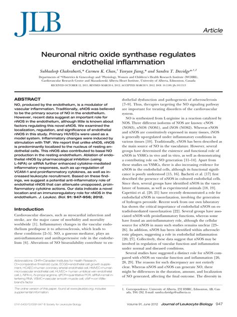 Pdf Neuronal Nitric Oxide Synthase Regulates Endothelial Inflammation