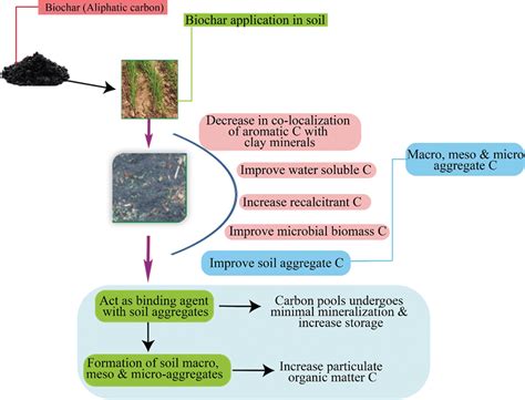 Biochar Implications In Cleaner Agricultural Production And Environmental Sustainability