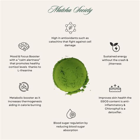 Ceremonial Matcha Everything You Need To Know