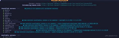 从 nvim lsp installer 升级到 mason nvim 总共分几步mason nvim 是 nvim l 掘金