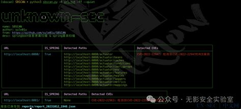 Spring漏洞扫描工具，springboot未授权扫描敏感信息扫描以及进行spring相关漏洞的扫描与验证 Cn Sec 中文网
