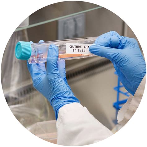 The Importance Of Labels In Laboratory Testing