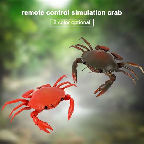 remote control crab toy radio control electric battery operated
