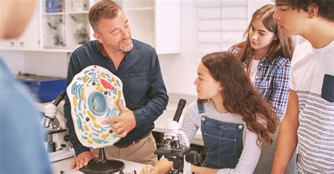 20 High Impact Factor Journals In Cell Biology 2025