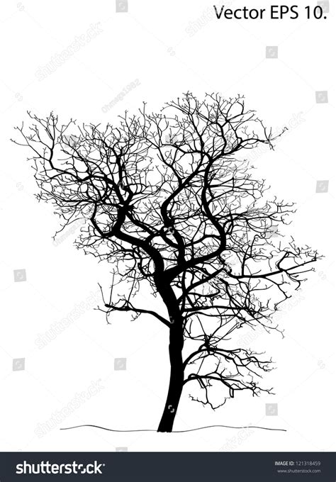Dead Tree Without Leaves Vector Illustration Stock Vector Royalty Free Shutterstock