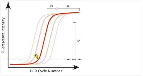 Examples Of Satisfactory Sigmoidal Amplification Curve Shape When Download Scientific Diagram