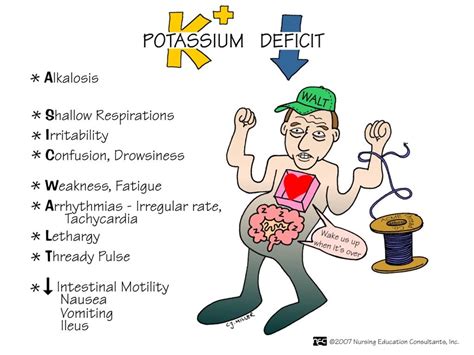 Cardiotoxicidad Por Hyperkalemia Diet Dietinter