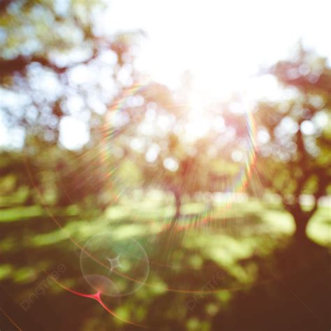 Summer Blur Bokeh Background Summer Blur Bokeh Background Green Nature