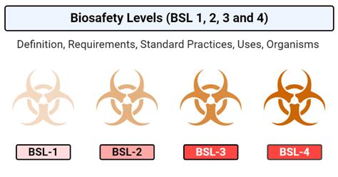 Bsl Levels Chart Healthy Life