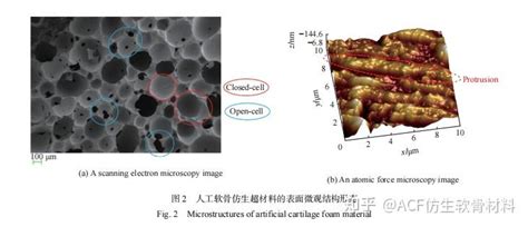 Acf是什么意思？谁研发出来的？acf的特性和原理 知乎