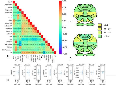 Relationship Of Cerebellar Structure With Cognition And Download Scientific Diagram