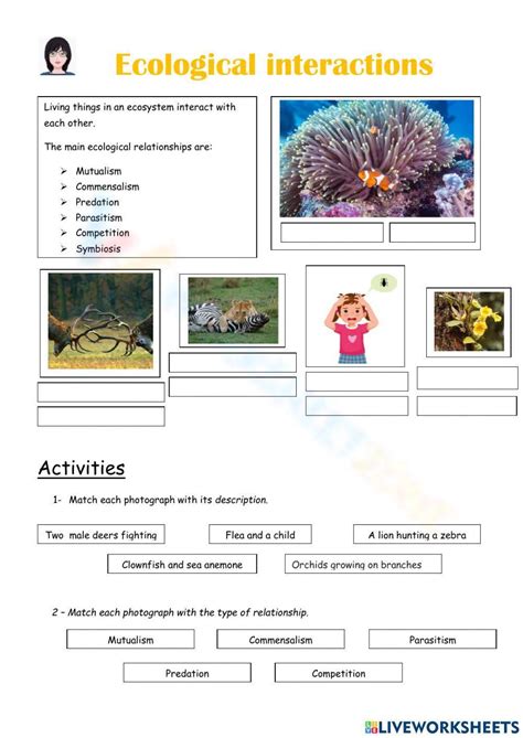 Ecological Interactions Worksheet