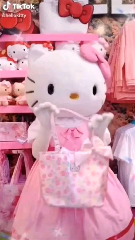 Hello Kitty Whats The Special Hello Kitty Toys Hello Kitty Hello