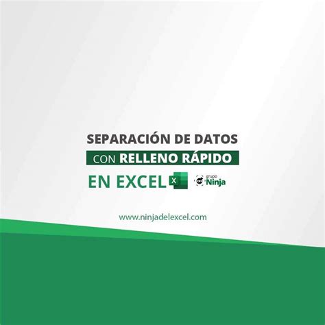 Separación De Datos Con Relleno Rápido En Excel Ninja Del Excel