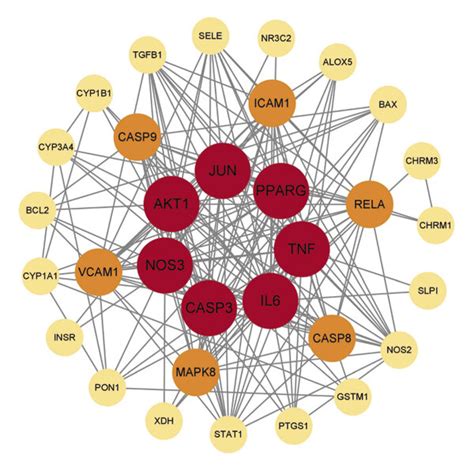 Further Topological Analysis Of 32 Overlapping Target Genes Seven Core Download Scientific