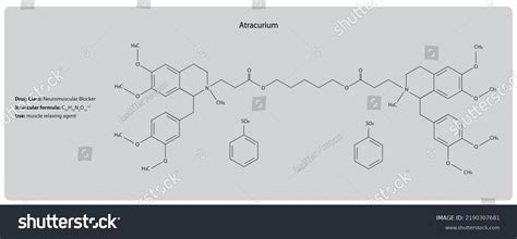 Atracurium Neuromuscular Blocker Chemical Structure Drug Stock Vector Royalty Free 2190307681