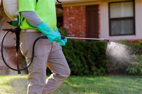 Lawn Weed Control And Fall Pre Emergents In Dallas Lawn Tech