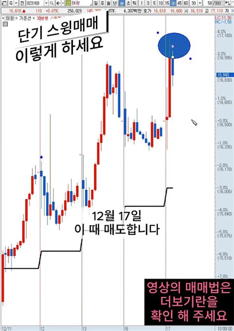 단기 스윙 매매 기법 공유 Youtube