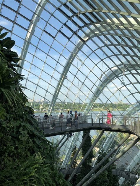 싱가포르 여행 가든스 바이 더 베이 플라워 돔 클라우드 포레스트 슈퍼 트리 랩소디 쇼 Day 3 네이버 블로그