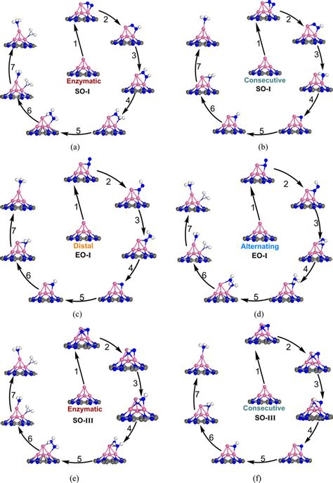 Optimized structures for N2 reduction through (a) enzymatic pathway and ...