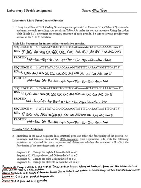 Prelab Lababoratory 5 Pdf Mitosis Genotype