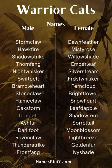 Warrior Cat Name Generator Artofit