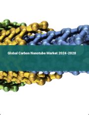 탄소나노튜브carbon Nanotube 시장 보고서 탄소나노튜브carbon Nanotube 시장 보고서