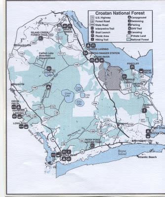 The Crystal Coast Happenings Croatan National Forest Only Minutes Away