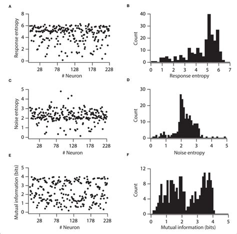 Variability In Expression Of Functional Maps Leads To Distributed