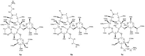 Interactions Of Aminopropylazithromycin Derivatives Precursors In The
