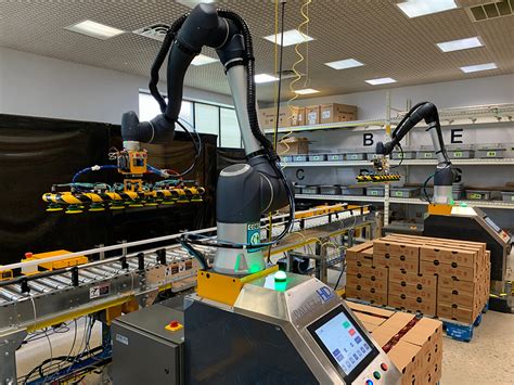 Robotic Palletizers For Material Handling End Line Packaging