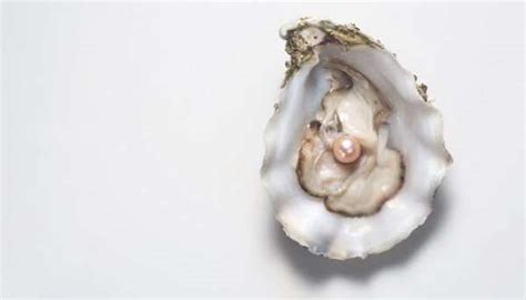 More Acidic Oceans May Affect The Sex Of Oysters American Chemical