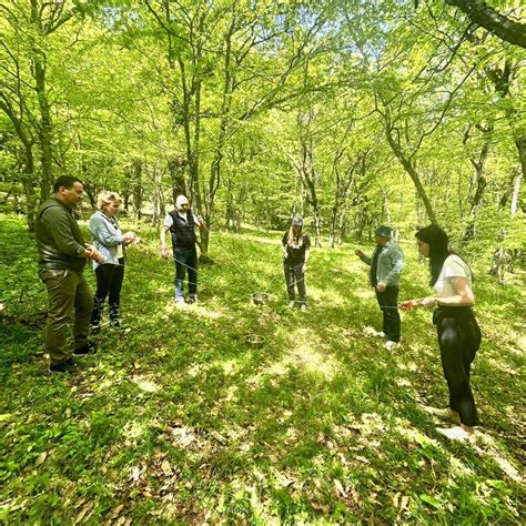 Team Building თიმ ბილდინგი Tbilisi