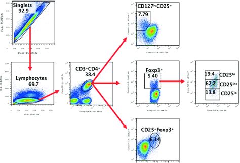 Gating Strategy For Analysis Of Peripheral Blood Treg Cells Download