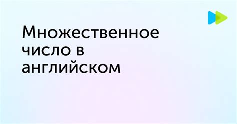 Множественное число в английском правила образования и примеры Skypro