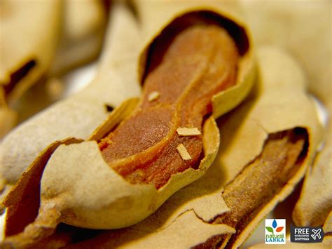 Organic Tamarind Paste Seedless Premium Quality Grade A Etsy