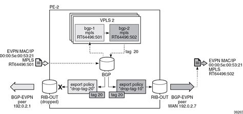 Dual Evpn Mpls Instance Vpls Services