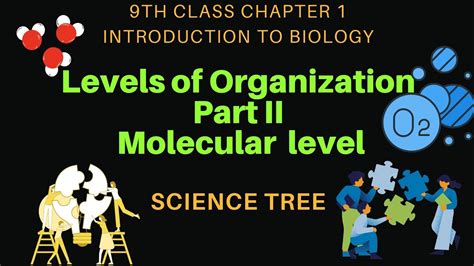Molecular Level Micromolecules Macromolecules Youtube