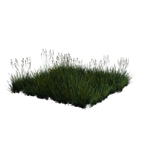 Grass 3d Rendering 15337253 Png