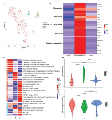 Re Clustering Of Dc Cells A Umap Plot Of Dendritic Cells Grouped Download Scientific Diagram