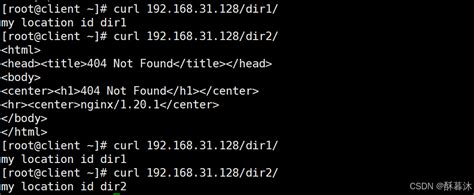 使用nginx搭建web网站 nginx部署web项目 csdn博客
