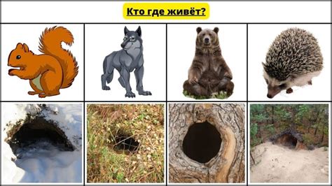 Дидактическая игра «Дикие животные»: цель, задачи
