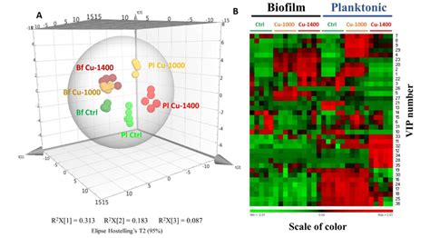 A 3d Pls Da Score Plot Based On Uplc Hrms Metabolomics Data Of