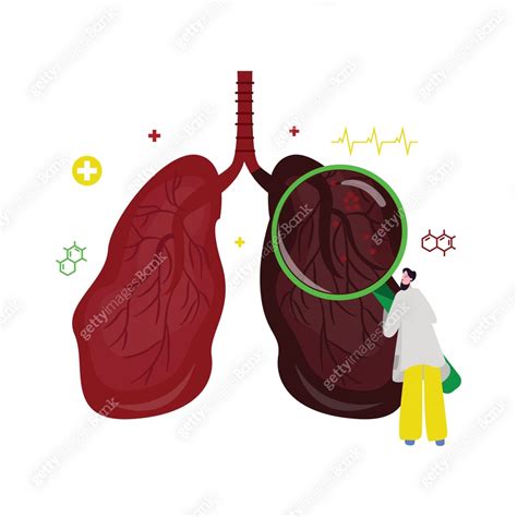 Lung Body Organ Anatomy Unhealthy Disease Respiratory System Human