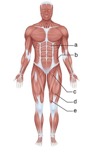 Chapter 1 Flashcards Quizlet