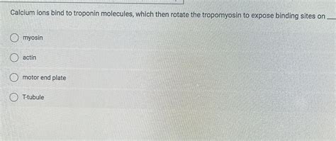 Solved Calcium Ions Bind To Troponin Molecules Which Then